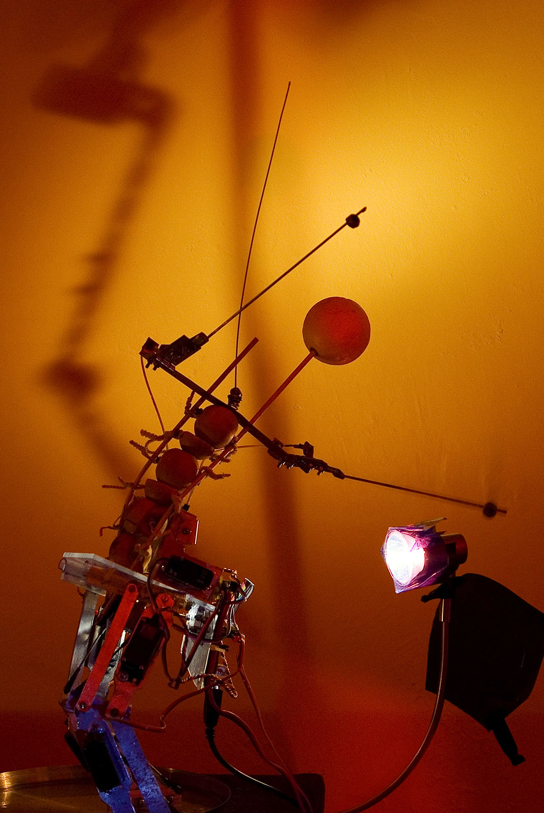 Petrushka’s Cry – Operamecatronica